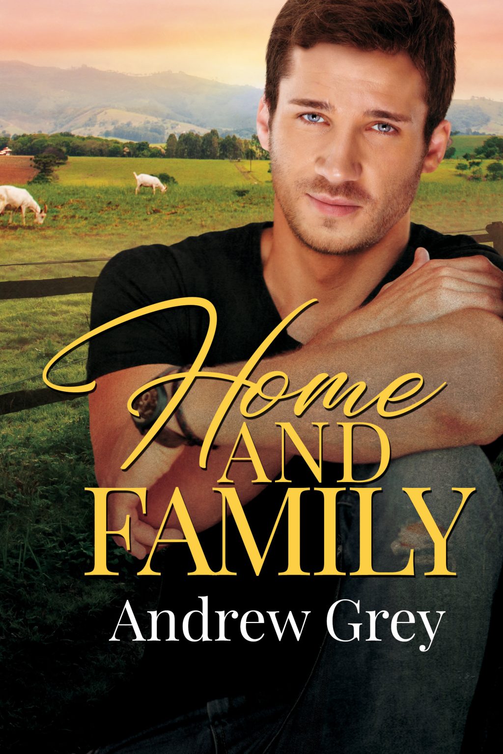 Home and Family - Andrew Grey